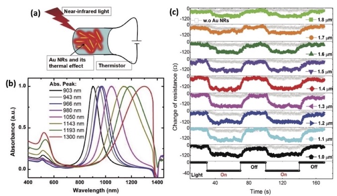 Nano-Opto-Electronique : Functional nanophotonics for active ...